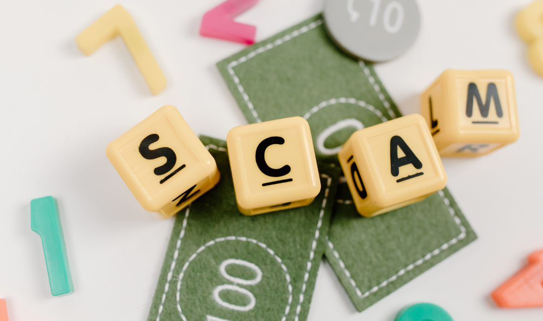 Intelex Review 2024 - File a scam complaint